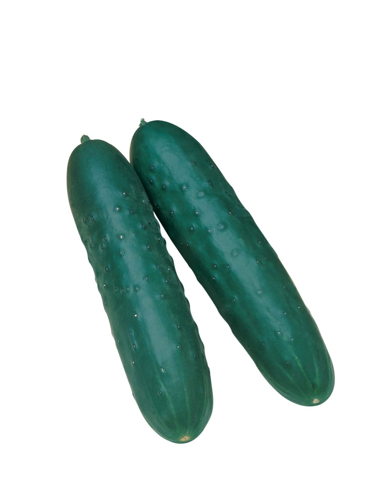 Corinto F1 - Zeleni Hit