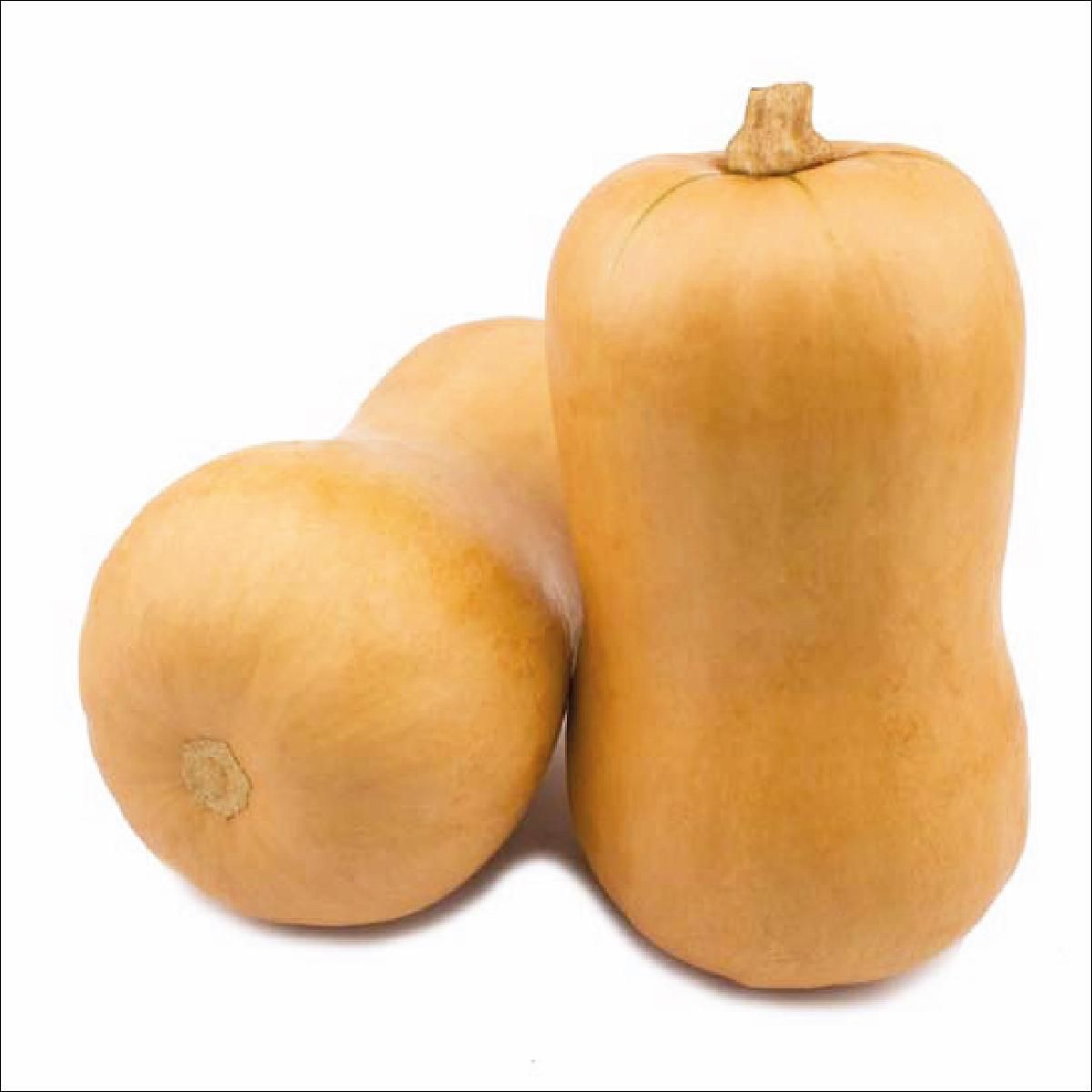 Jacqueline F1 - Zeleni Hit