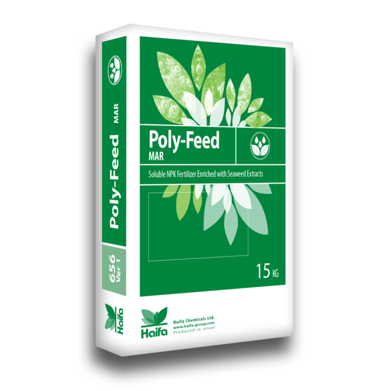 Poly Feed - Zeleni Hit