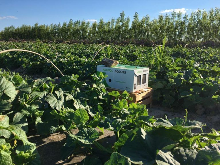 NATUPOL - otvoreni prostor - Zeleni Hit