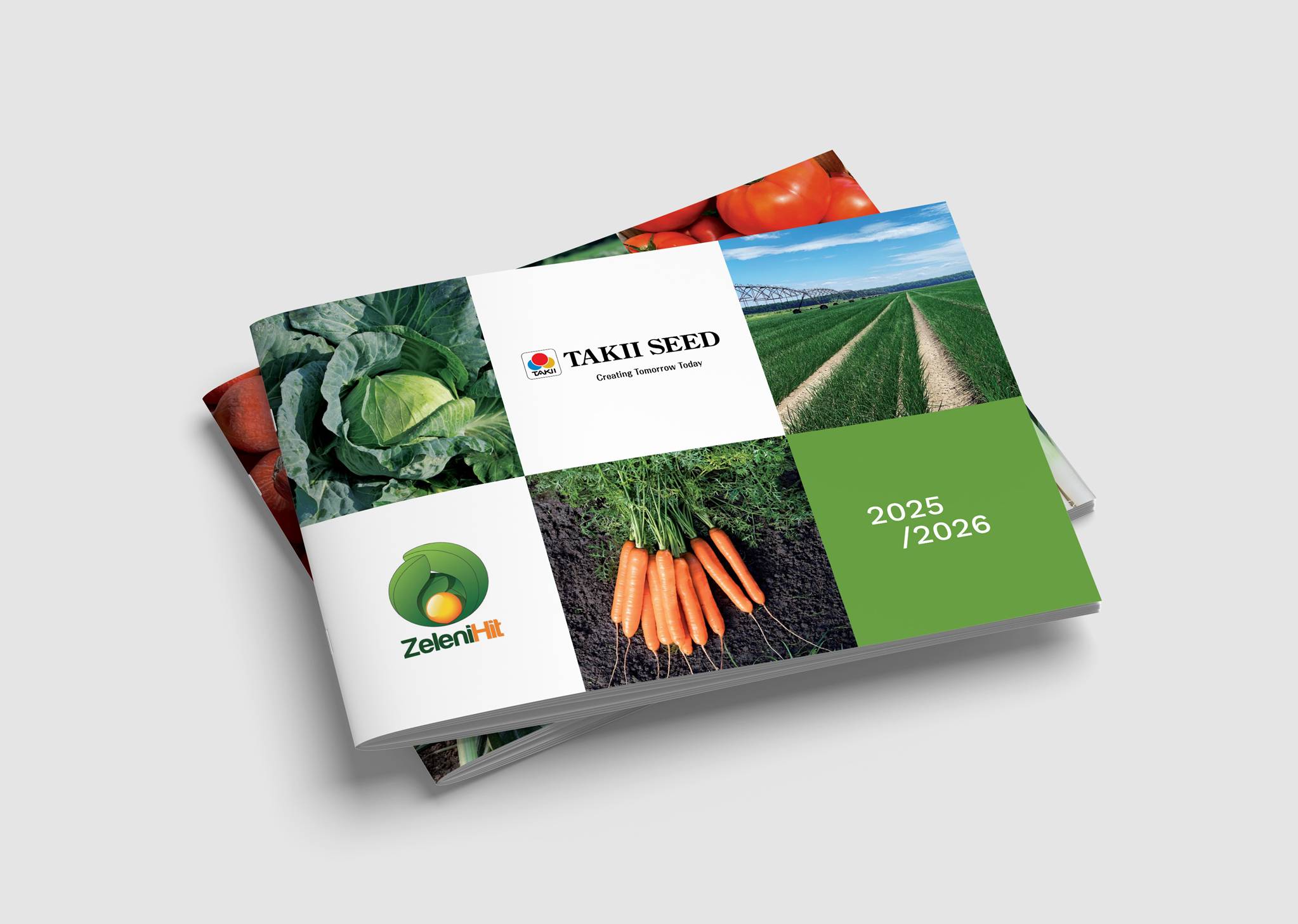 Takii Katalog 2025/2026 - Zeleni Hit